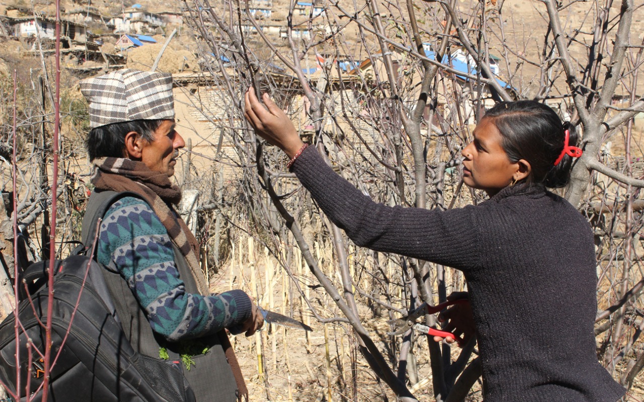 Realidades de la agricultura y la migración en comunidades rurales